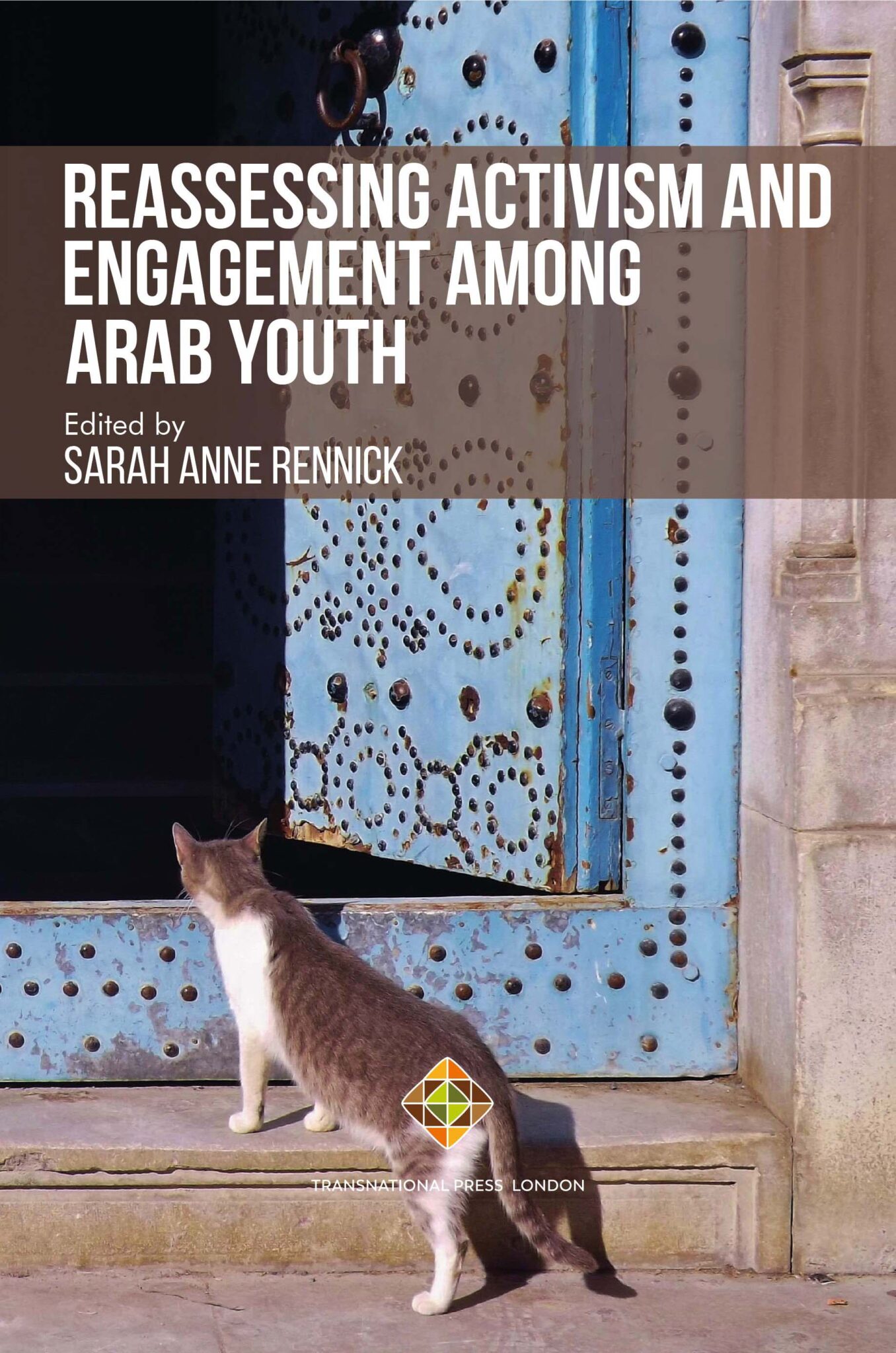 Reassessing Activism and Engagement Among Arab Youth – Transnational ...